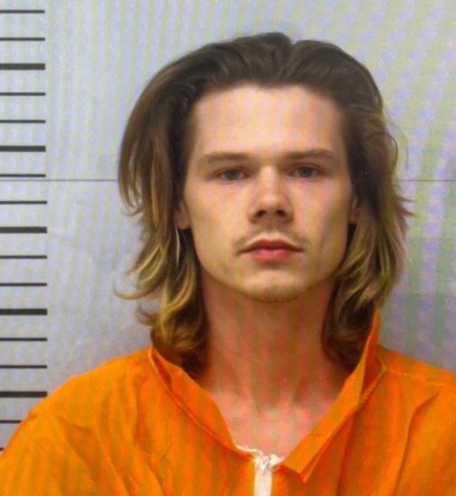 Man sentenced in child’s death | The Panolian