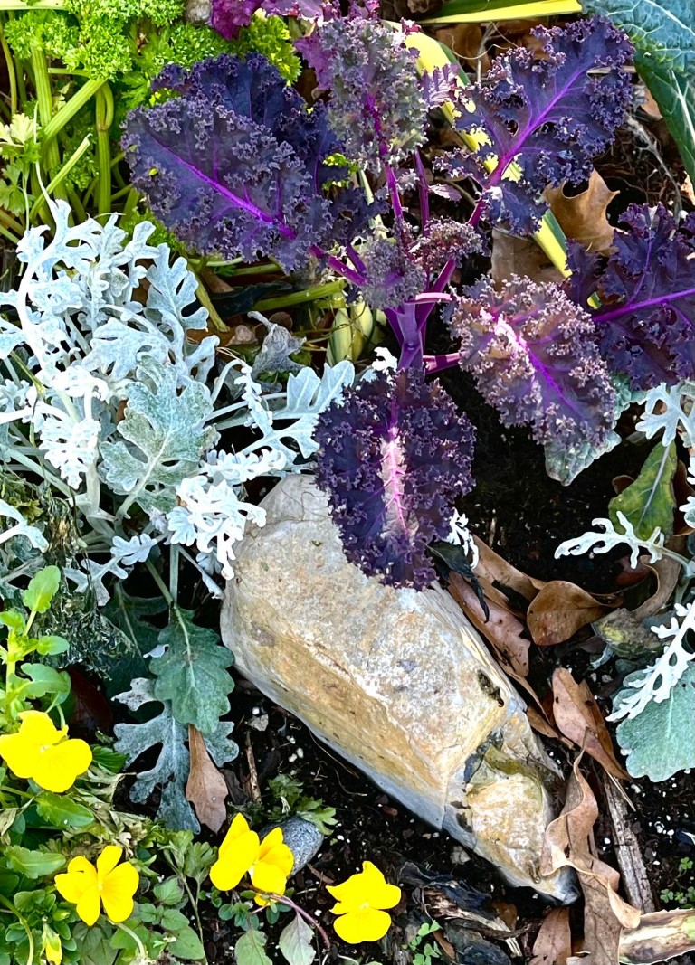 Get a jump on fall with pro-active planting, pruning | The Panolian